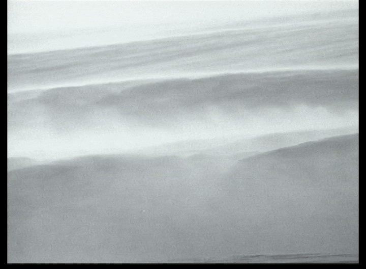 GALLERYPLATFORM.LA | Clémentine Adou, Lucille Groos, Patrick Jackson ...
