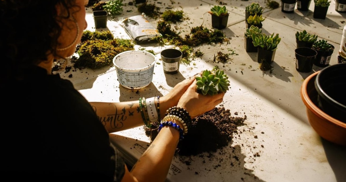 GALLERYPLATFORM.LA | workshop on Soil Health & Earth Regeneration