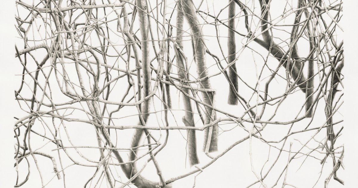 GALLERYPLATFORM.LA | Toba Khedoori