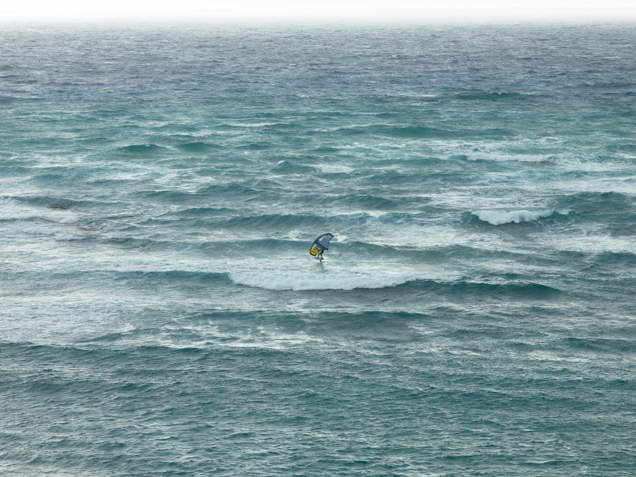 GALLERYPLATFORM.LA | Exhibitions