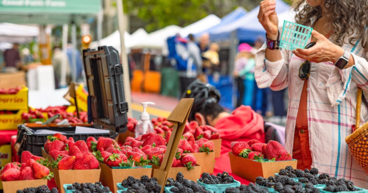 GALLERYPLATFORM.LA | ROW DTLA